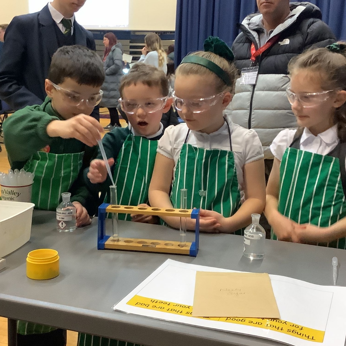 Crookhorn College - The Return of PROFESSOR CRANIUM!